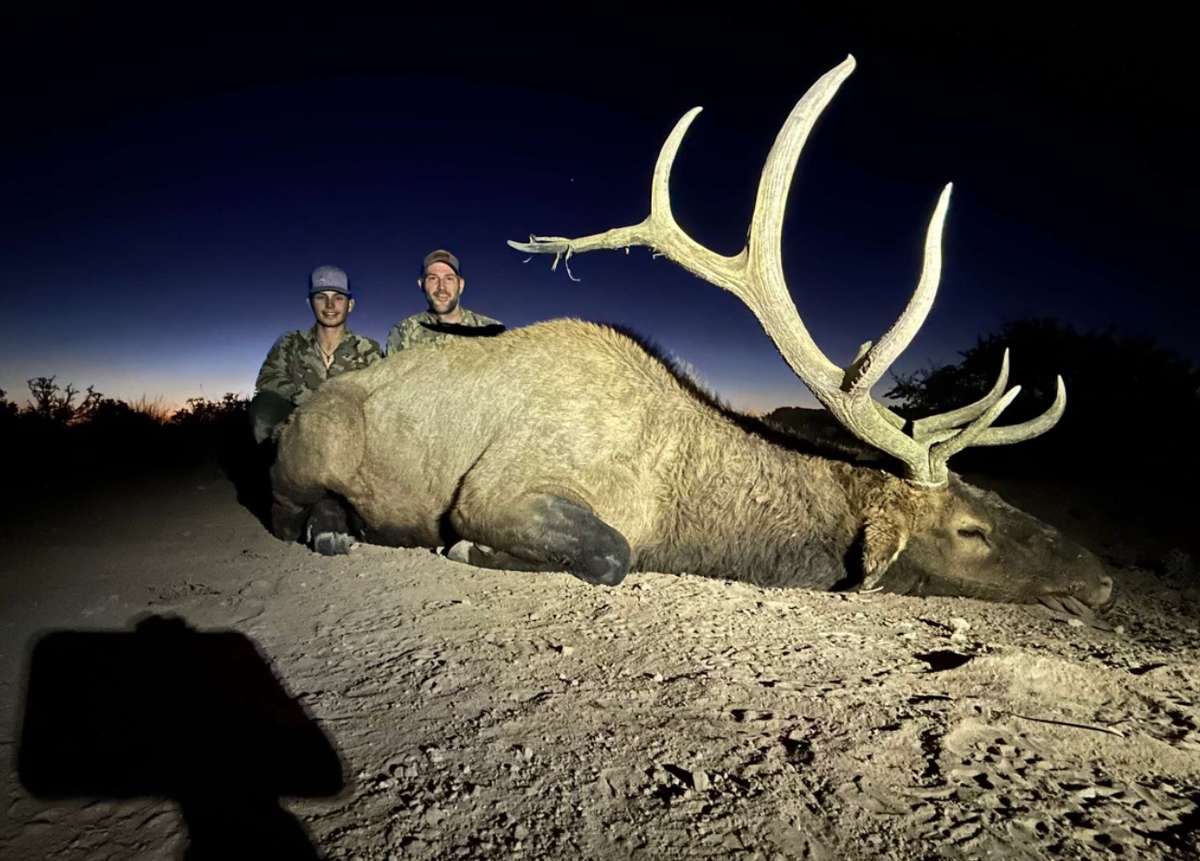 Guided Elk Hunts in New Mexico | Cibola, Gila and Lincoln National ...